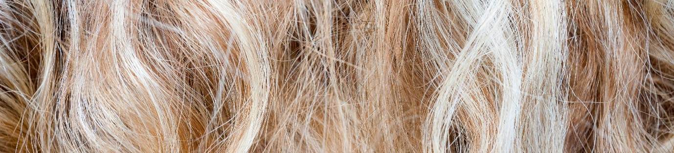 A deep dive into the slow ageing trend in hair care | Croda Beauty