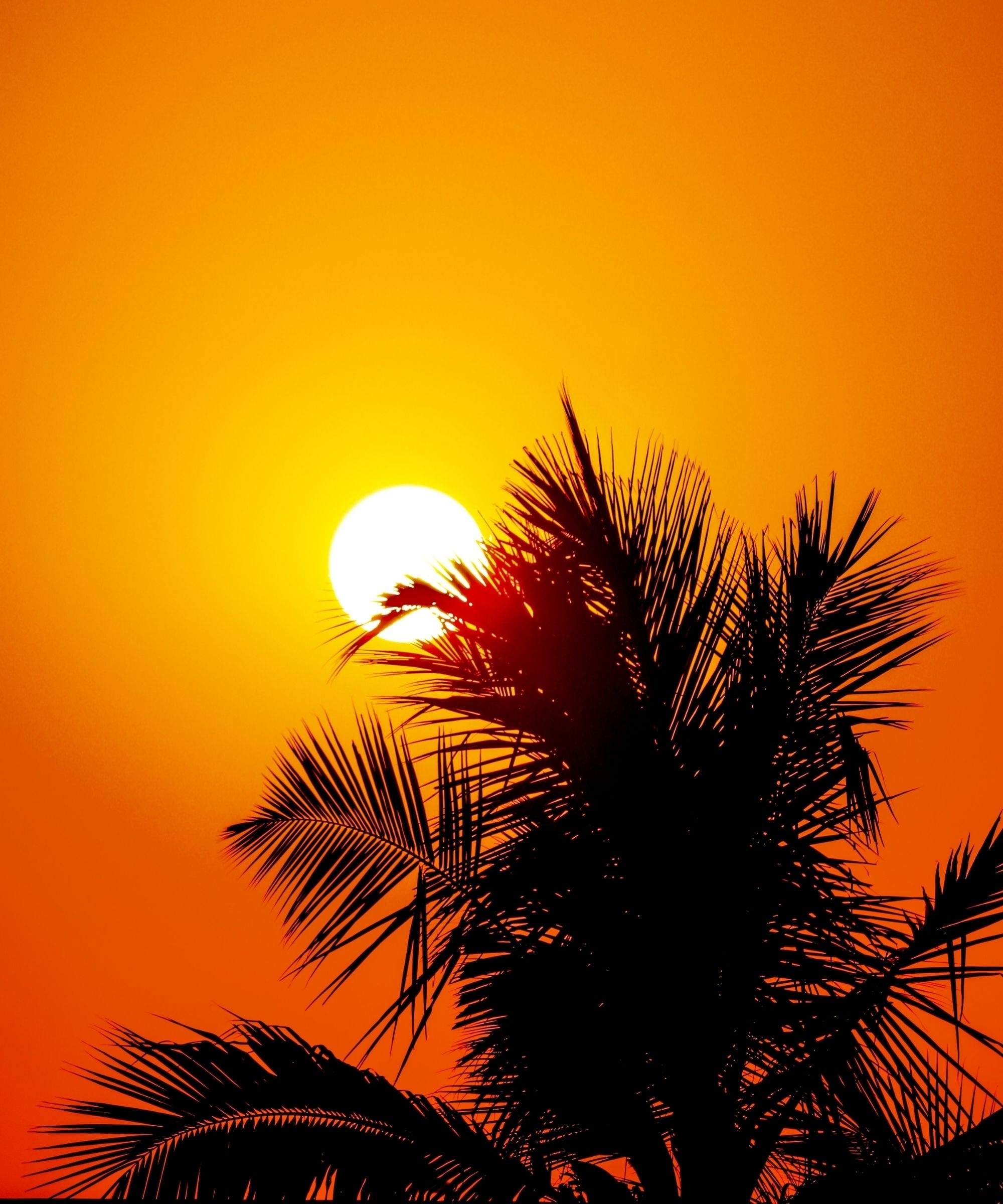 Sun care trends - What's on the horizon | Croda Beauty