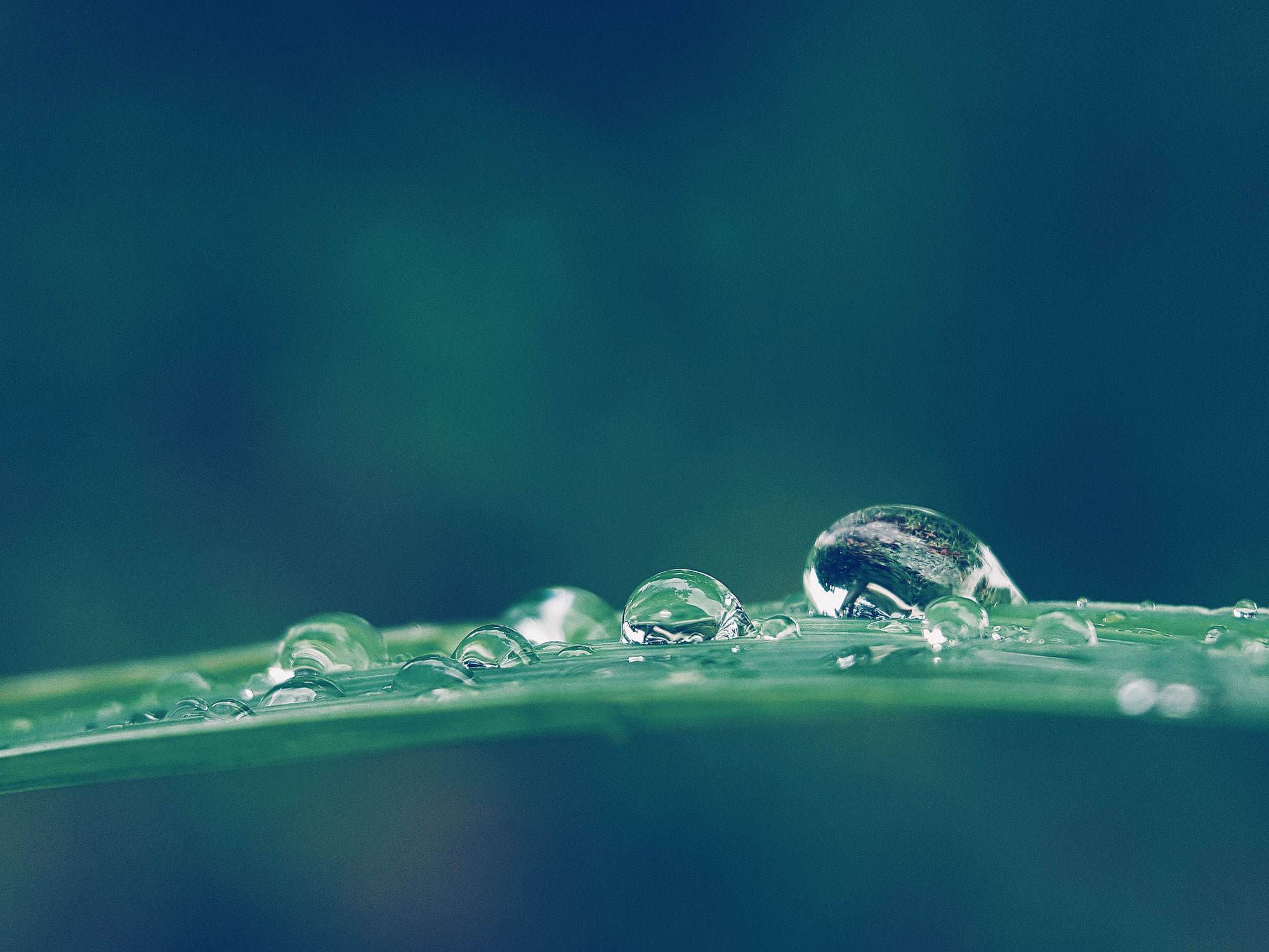 Capabilities | Croda Beauty